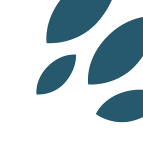 PLN Electric Run – RECHARGE AS ONE